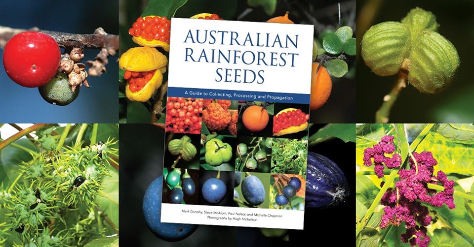 Australian Rainforest Seeds - Terania Rainforest Publishing